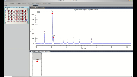 LabChip Reviewer用户软件介绍 - 珀金埃尔默智汇学院 - Powered By EduSoho
